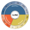 What’s in a Name — Aline CRM: Everything You Need to Know